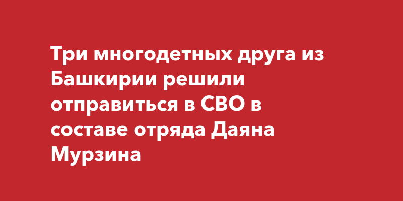 Три многодетных друга из Башкирии решили отправиться в СВО в составе отряда Даяна Мурзина | ufa ...