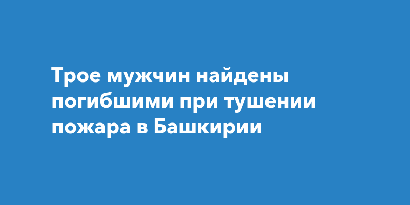 Трое мужчин найдены погибшими при тушении пожара в Башкирии | ufa-town.ru