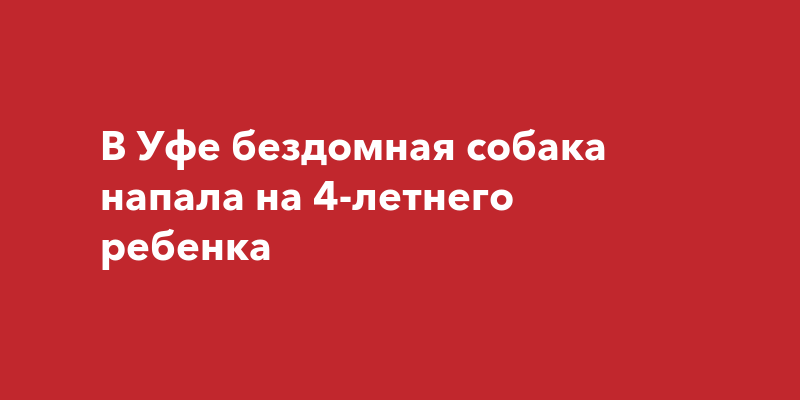 В Уфе бездомная собака напала на 4 летнего ребенка Ufa